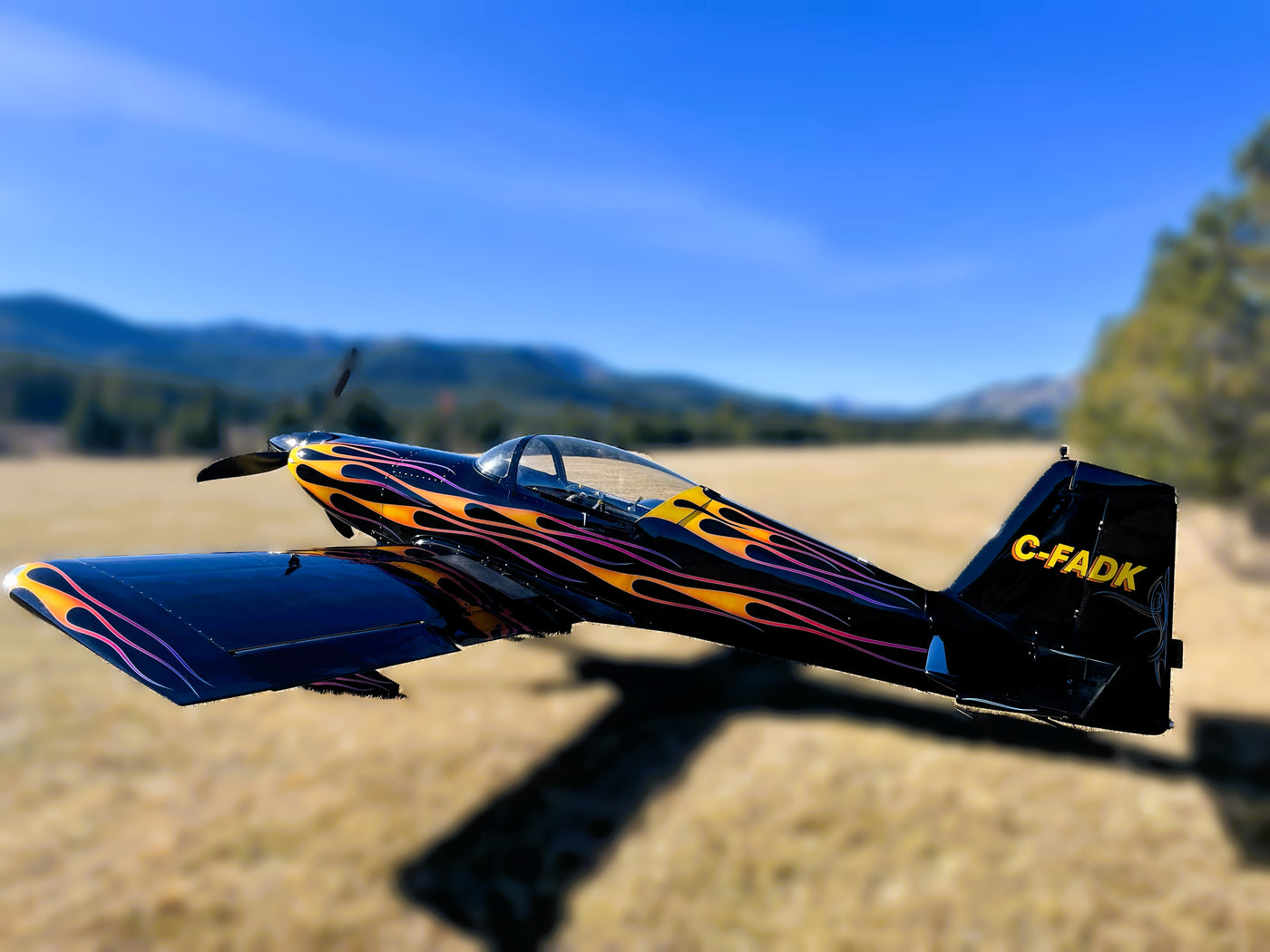 OXIMETRY AND PRESSURE SENSORS